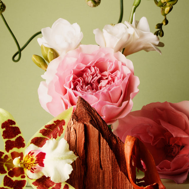 Eau de Parfum ROSE PARADIS. R.B. | Unisex Floral Fragrance – Maison D'ORSAY