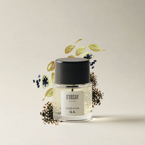 Eau de Parfum Dandy or not. G.A. | Unisex Woody Fragrance – Maison D'ORSAY